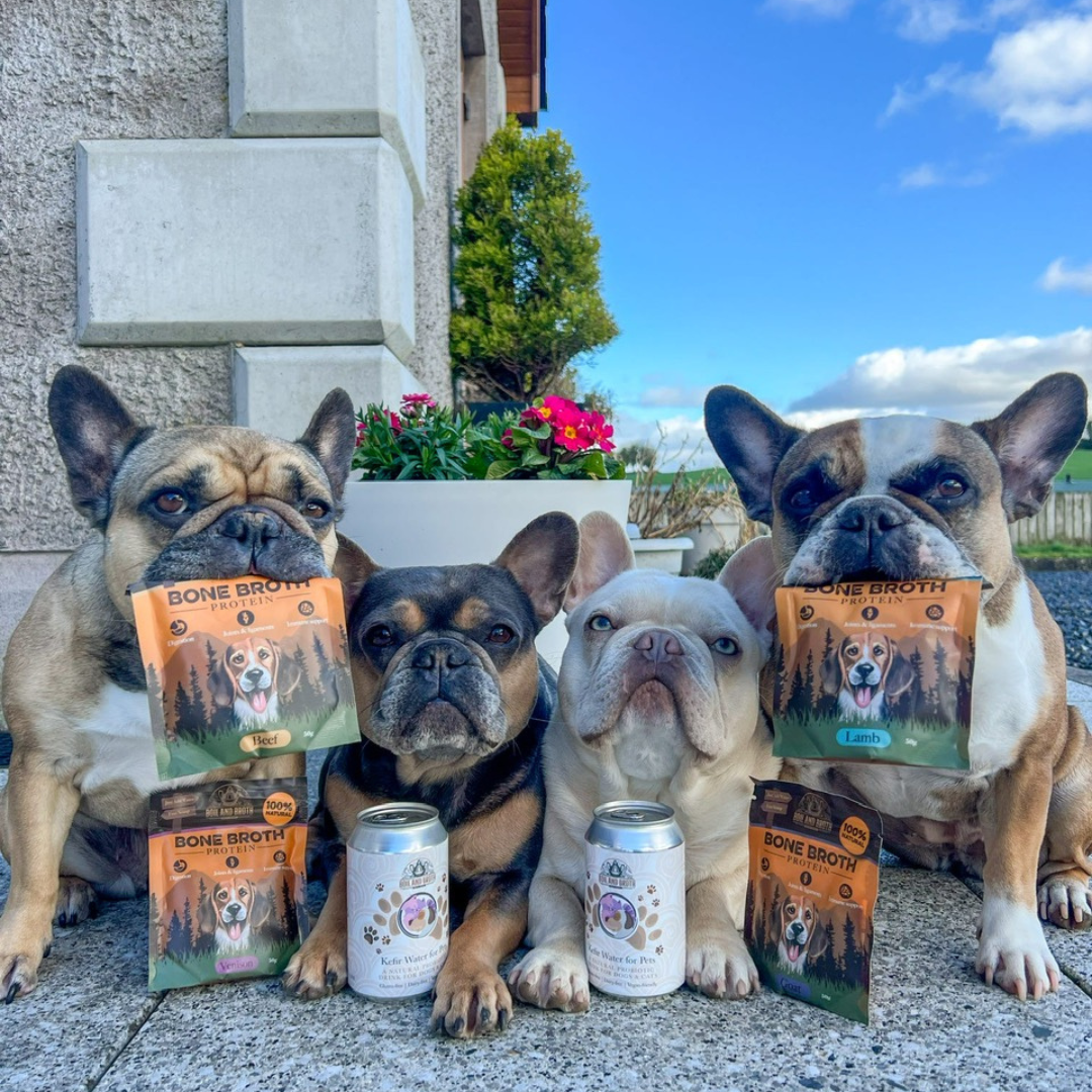 The Dangers of Chocolate for Dogs During Easter Celebrations